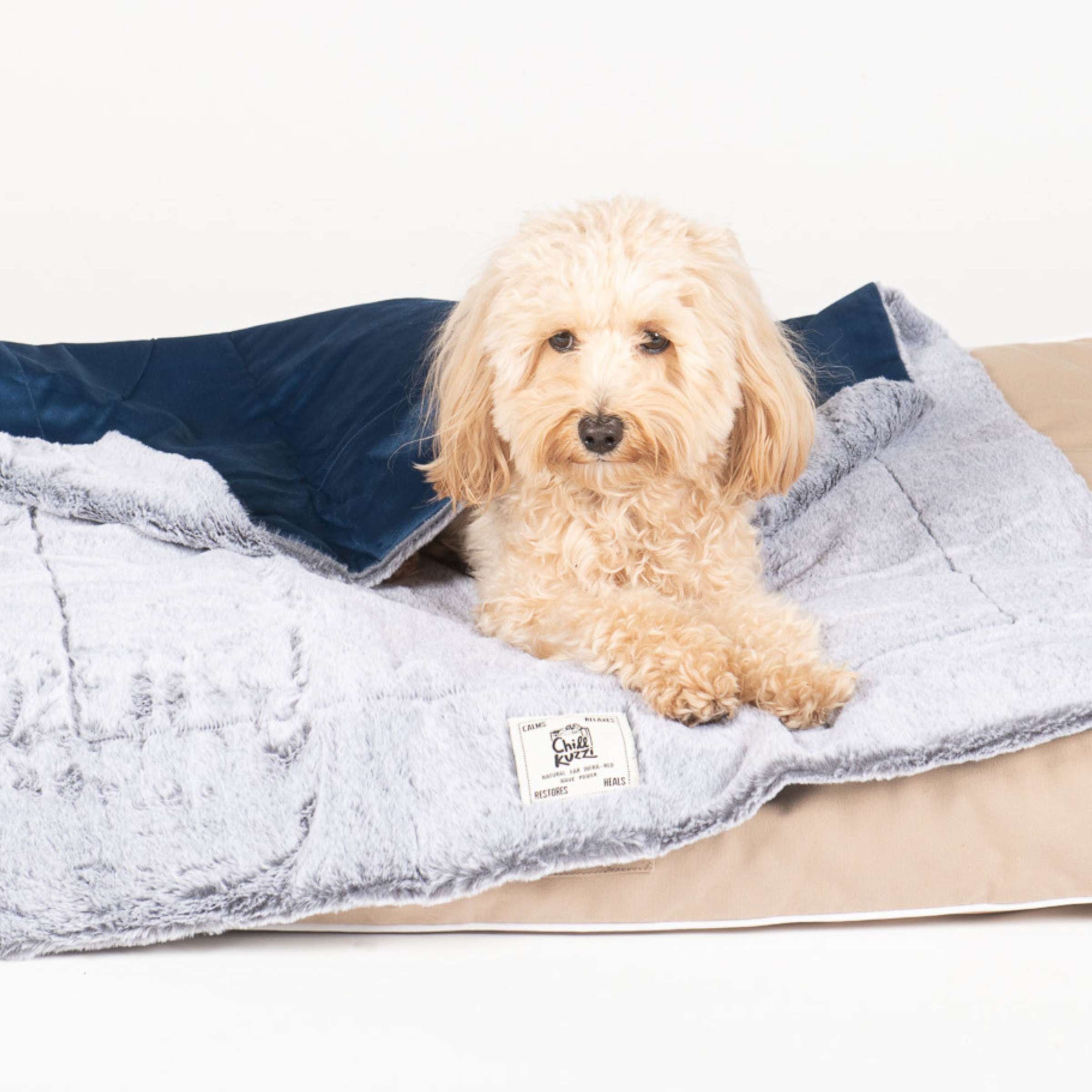 Chill Kuzzi Blanket - DGS Pet Products