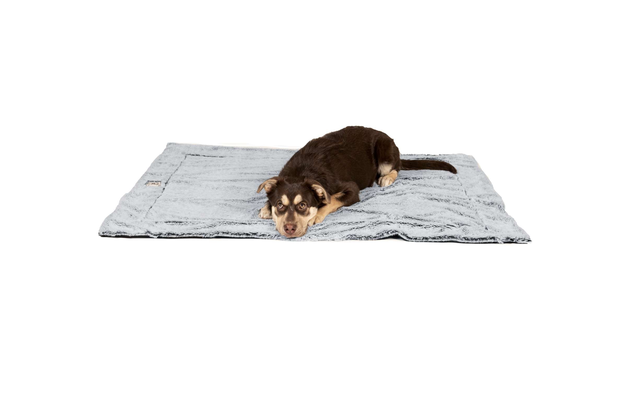 Chill Kuzzi Blanket - DGS Pet Products