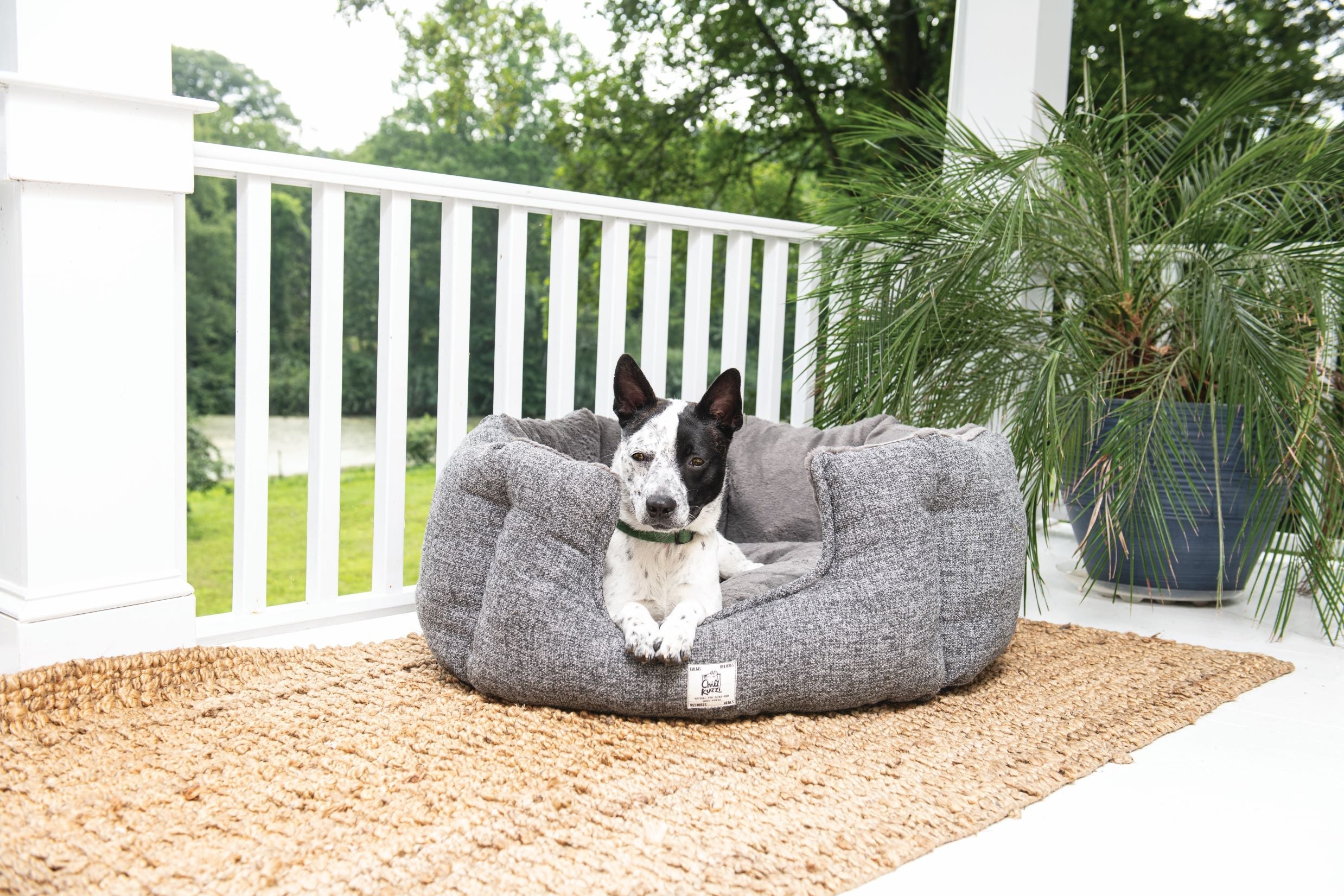 Chill Kuzzi Round Bed - DGS Pet Products
