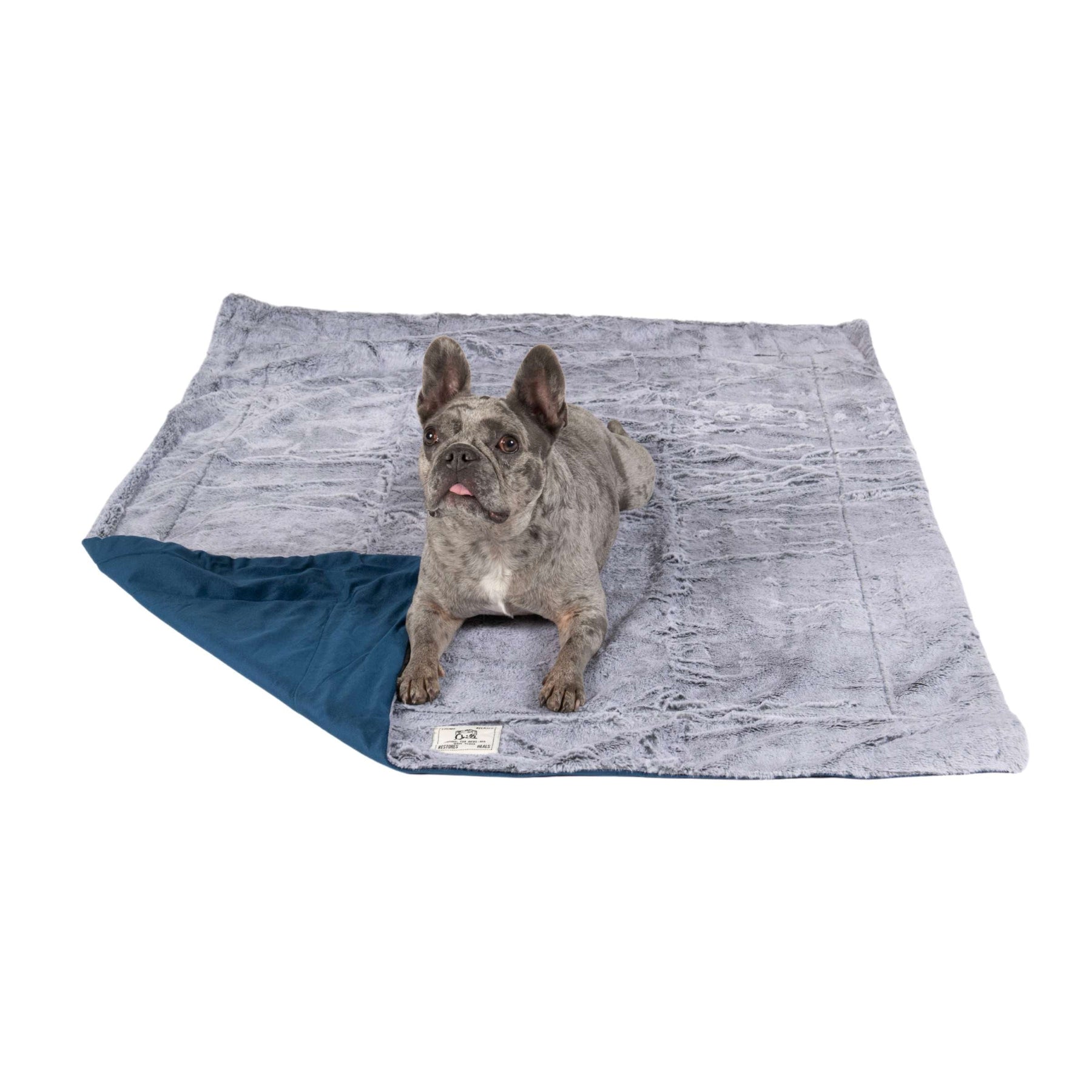 Chill Kuzzi Blanket - DGS Pet Products