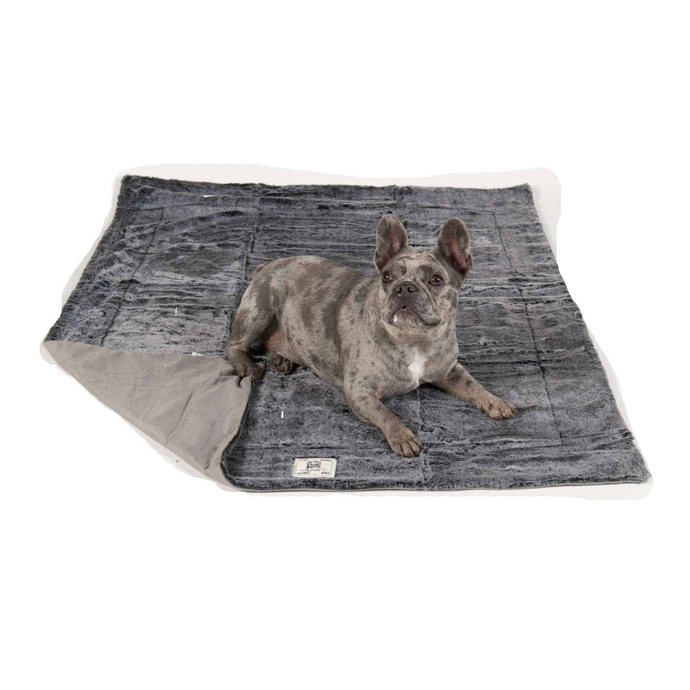 Chill Kuzzi Blanket - DGS Pet Products