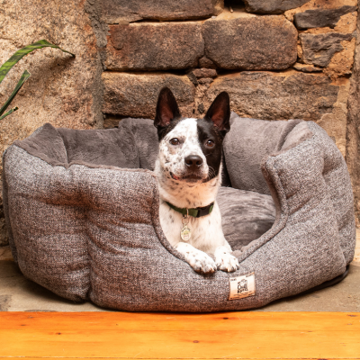 Home Essentials - DGS Pet Products