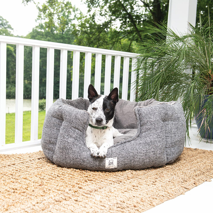 Wellness - DGS Pet Products